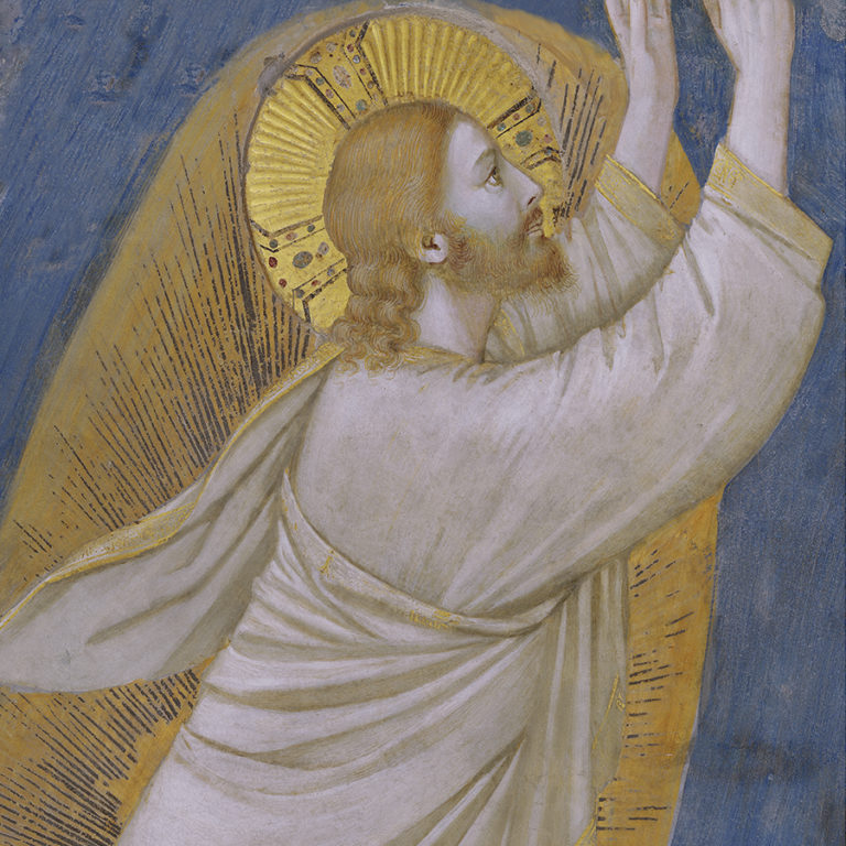 L'ASCENSIONE DI GIOTTO · La Bibbia Giovane